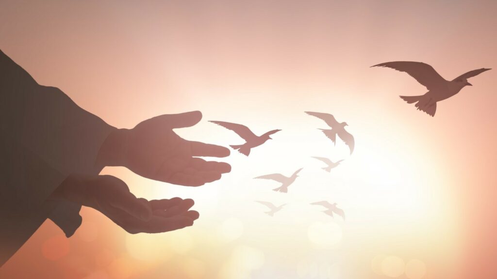 All about Religious Relationships in 2025 • Datingroo Australia